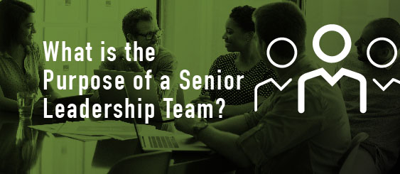 What Are The Roles And Responsibilities Of A Senior Management Team what-are-the-roles-and-responsibilities-of-a-senior-management-team
